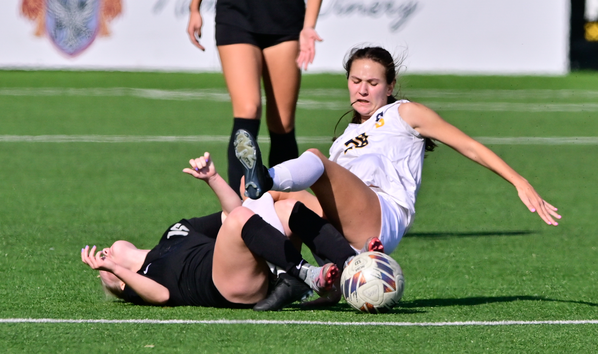 WPIAL / High School Girls Soccer Standings and Playoff Seeding ...